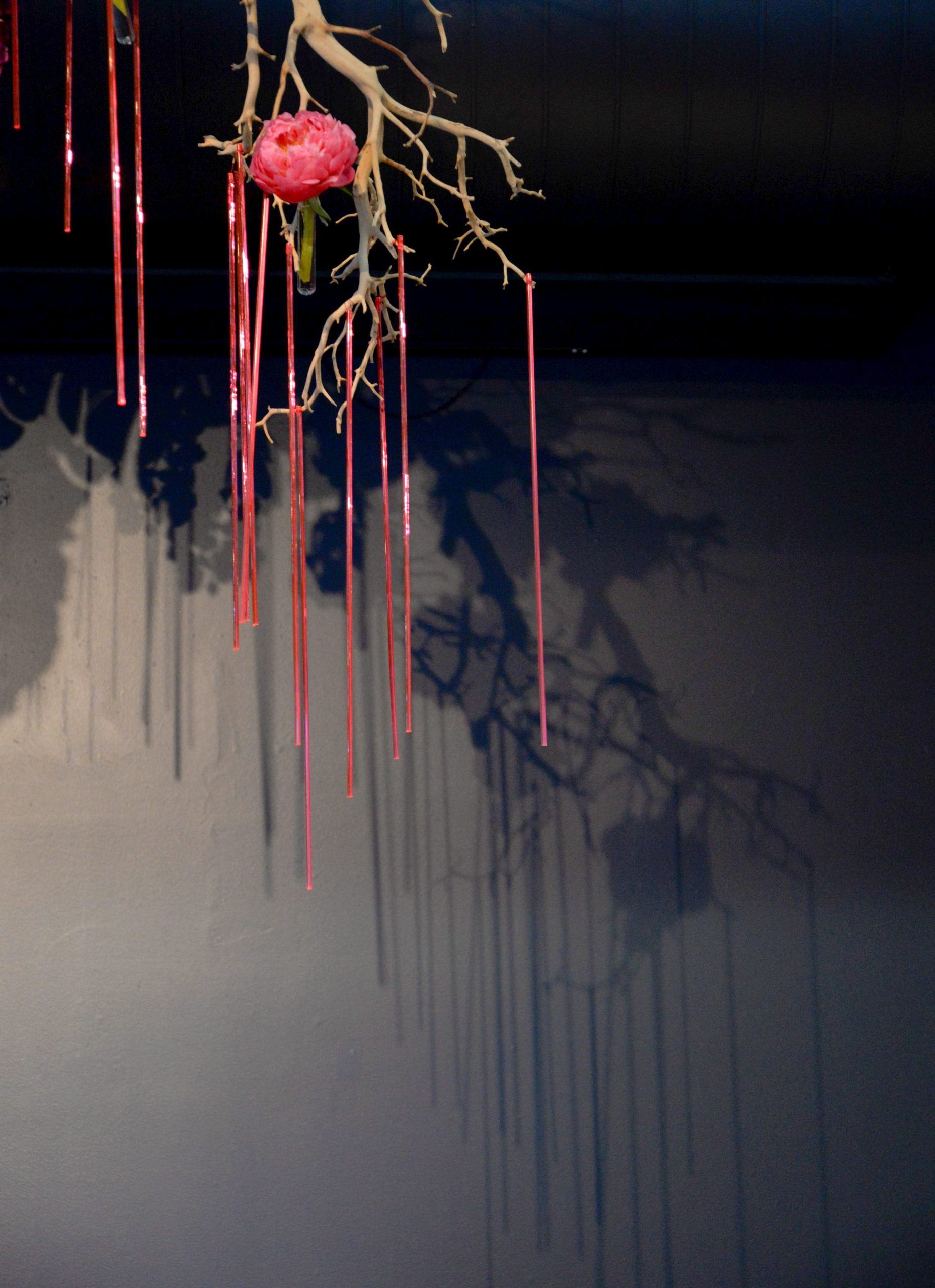 Floral Art – Katharina Stuart